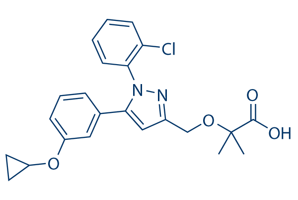 MCT - 英维沃化工科技（广州）有限公司